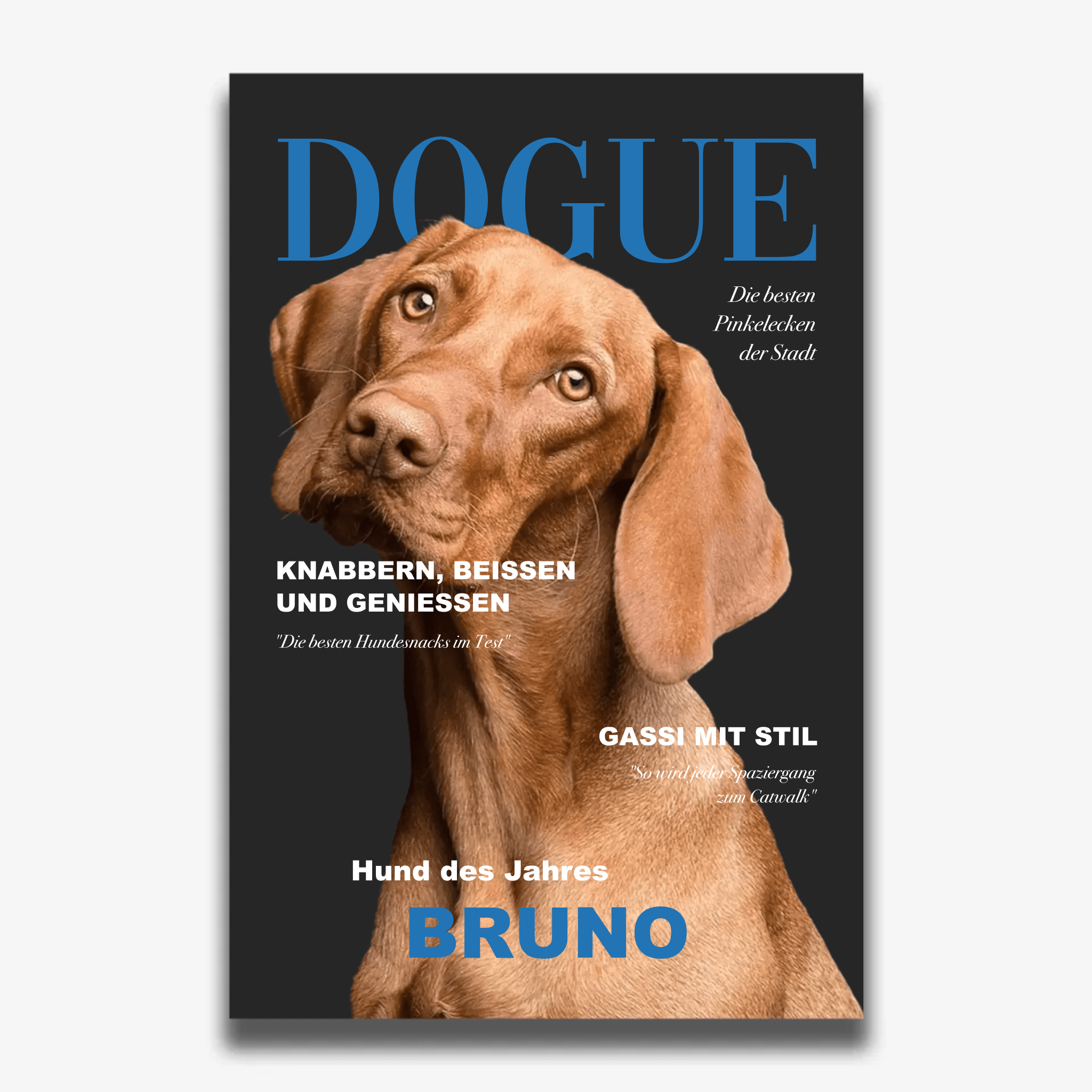 Dogue – Personalisiertes Hunde Poster im Vogue-Stil | PetWorld
